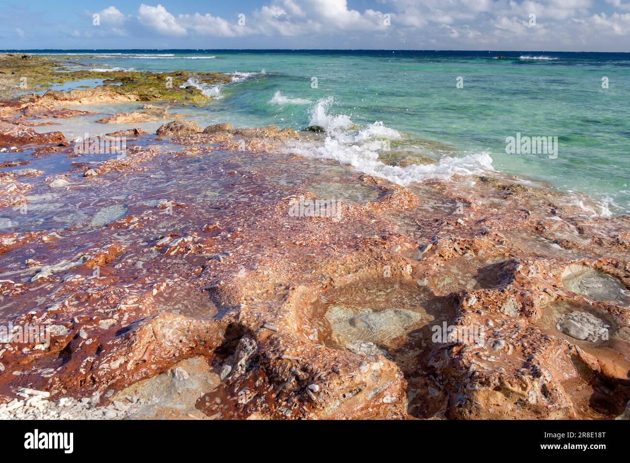 Lady Elliot Island Stock Photo - Alamy