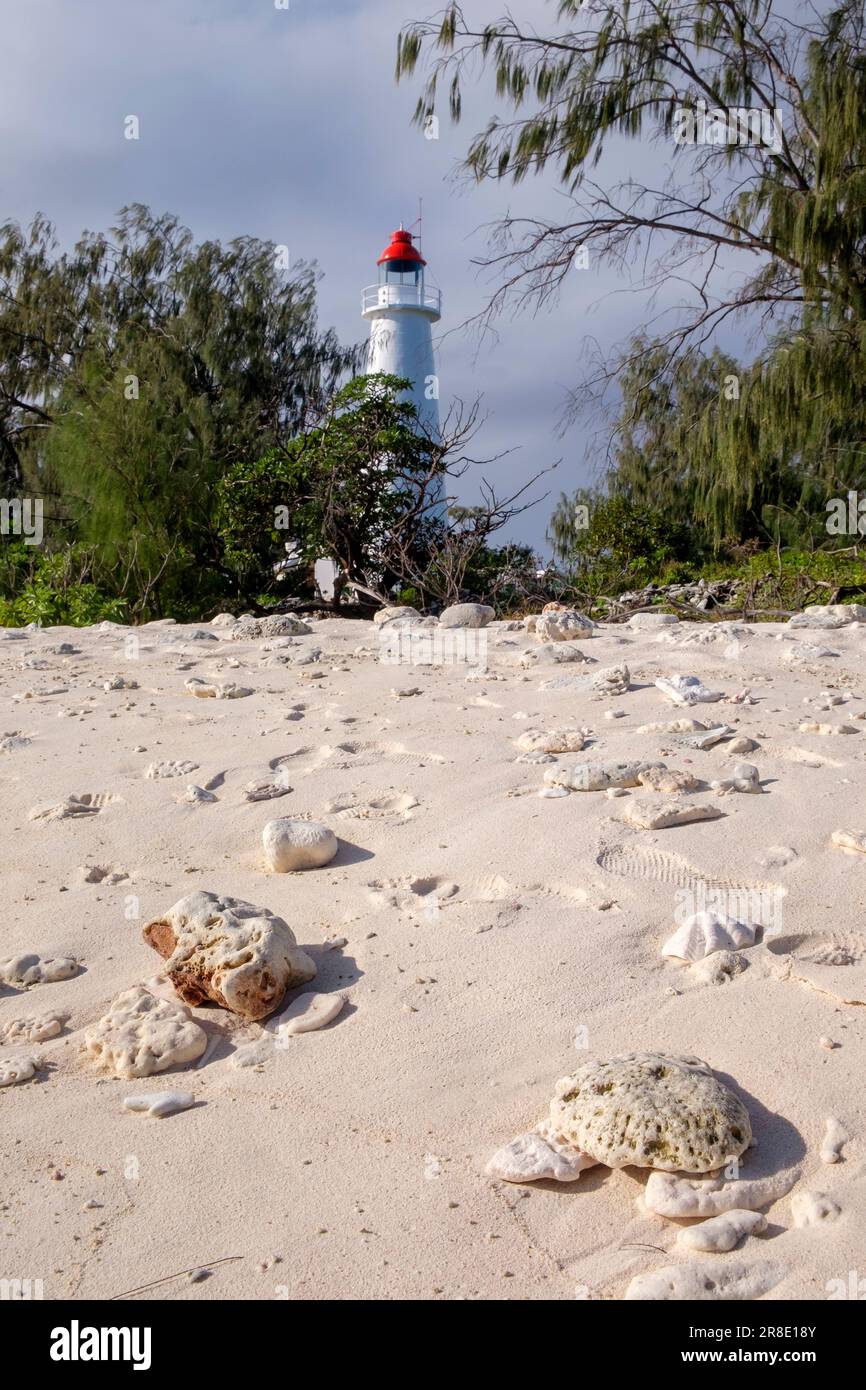 Lady Elliot Island Stock Photo - Alamy
