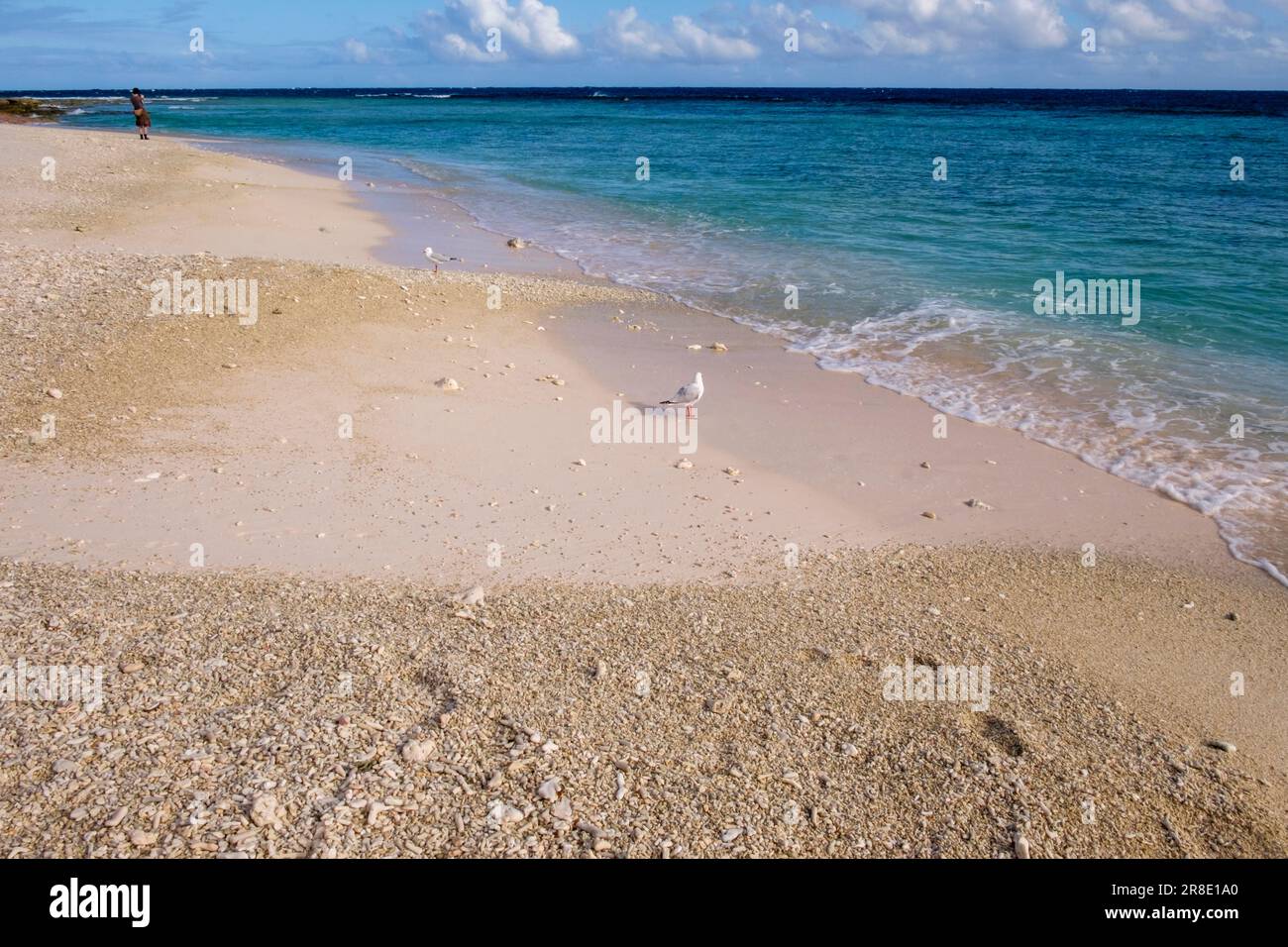 Lady Elliot Island Stock Photo - Alamy