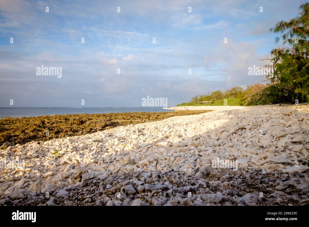Lady Elliot Island Stock Photo - Alamy