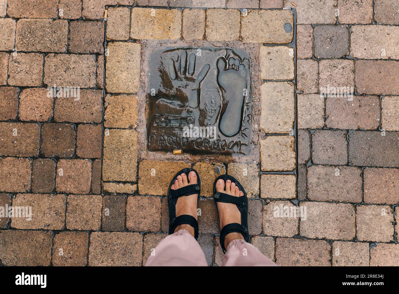 Way Marking sign on Trail of the Way of St James Pilgrimage Trail ...