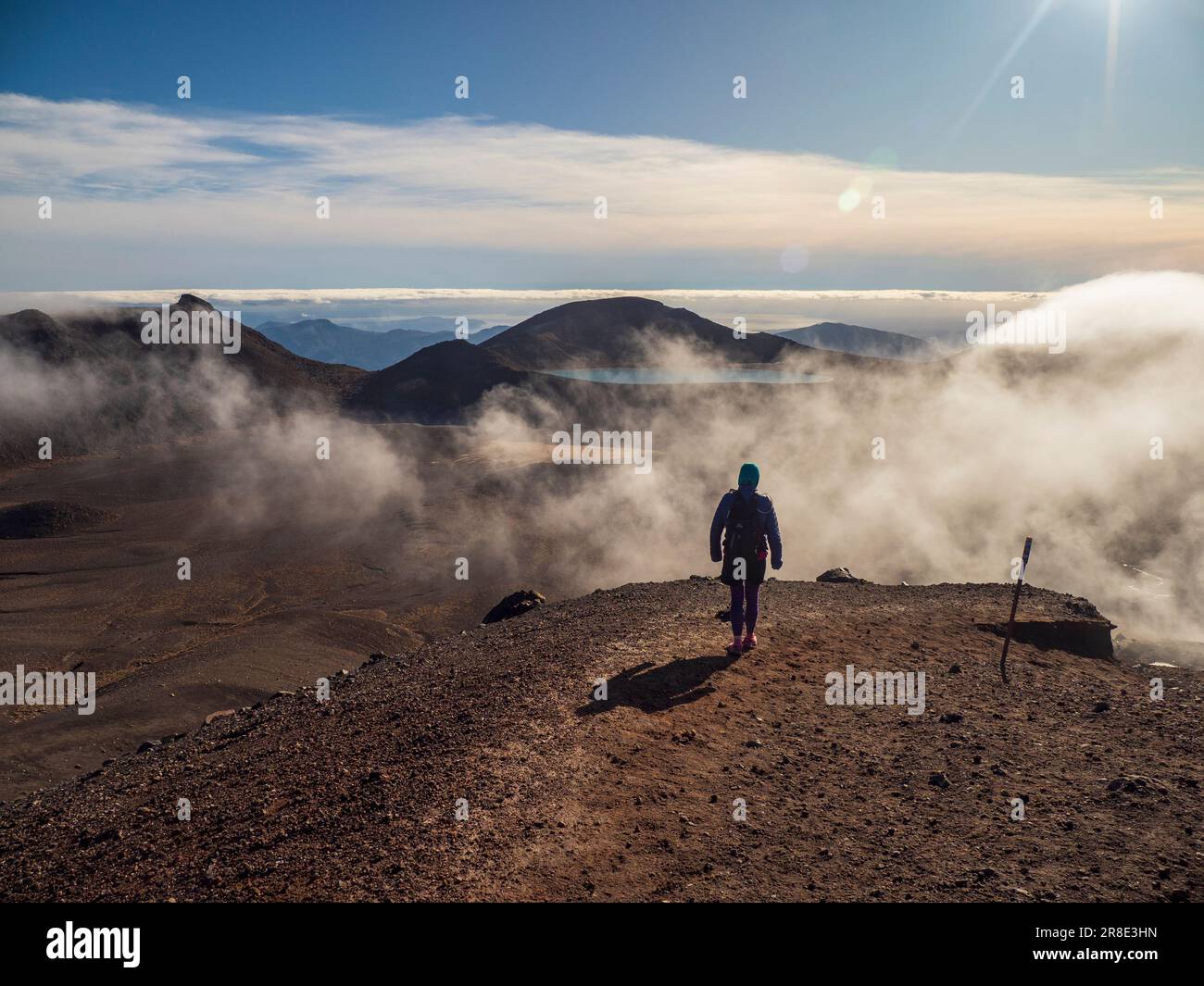 New Zealand, Waikato, Tongariro National Park, Hiker hiking Stock Photo ...