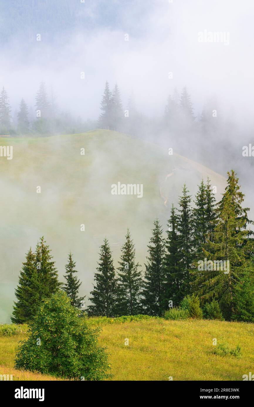 Ukraine, Ivano Frankivsk region, Verkhovyna district, Dzembronya ...