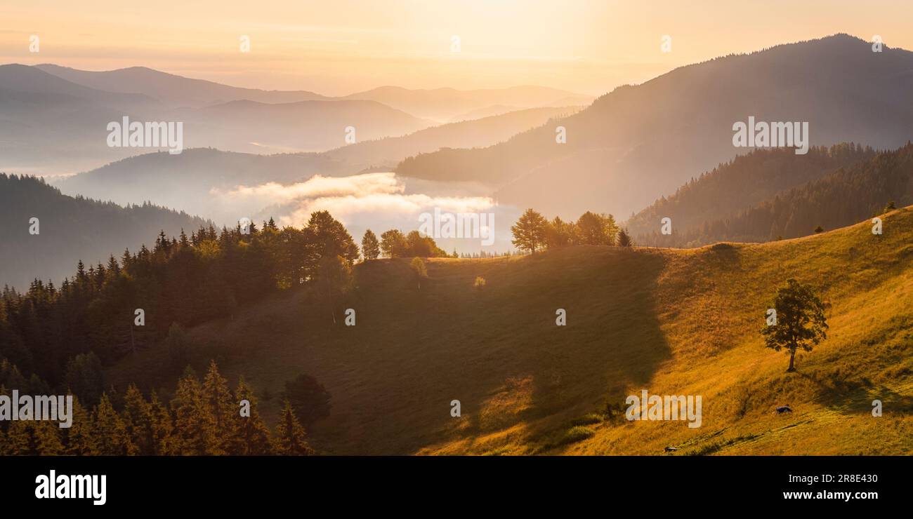 Ukraine, Ivano Frankivsk region, Verkhovyna district, Dzembronya ...