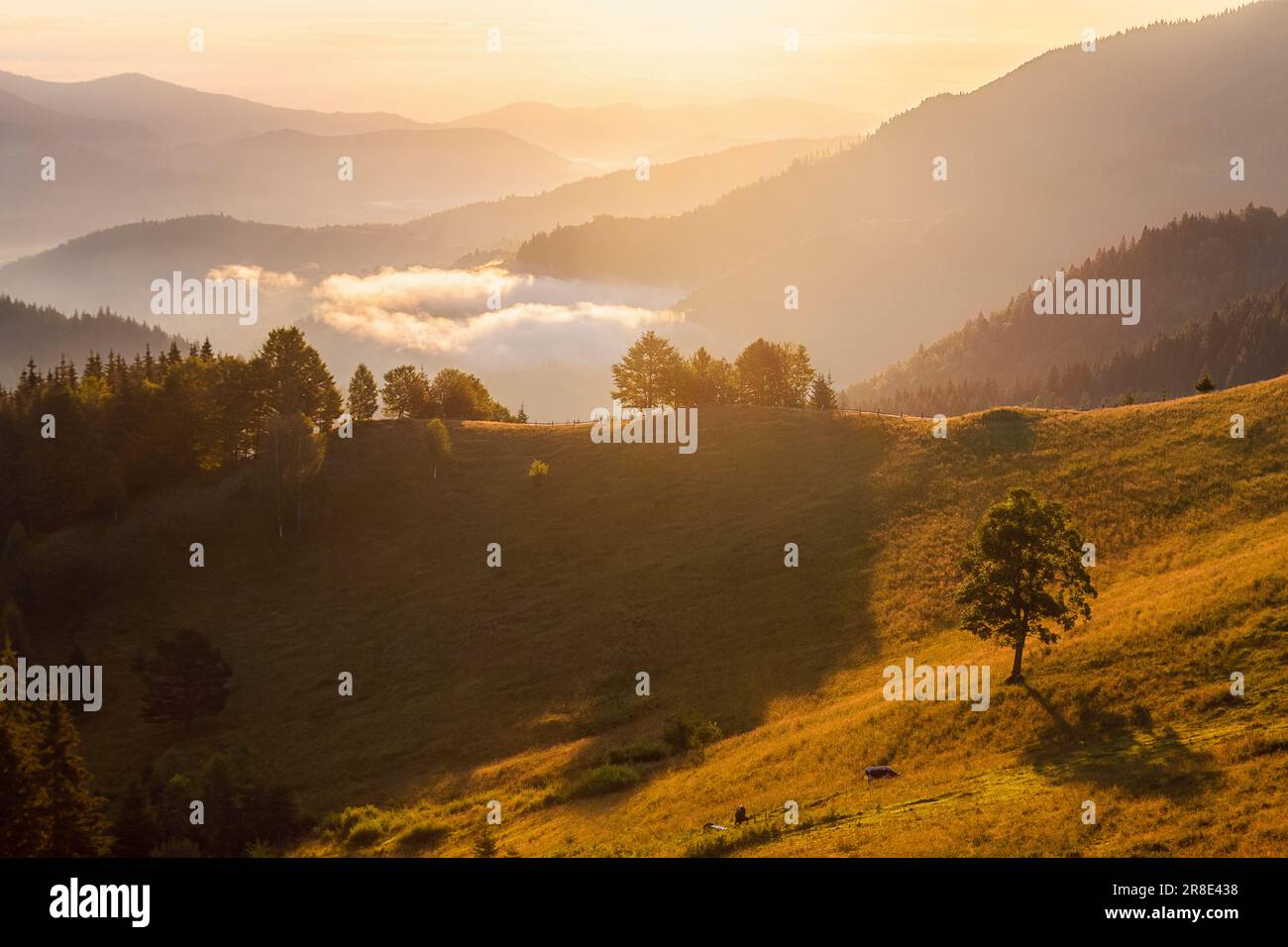 Ukraine, Ivano Frankivsk region, Verkhovyna district, Dzembronya ...