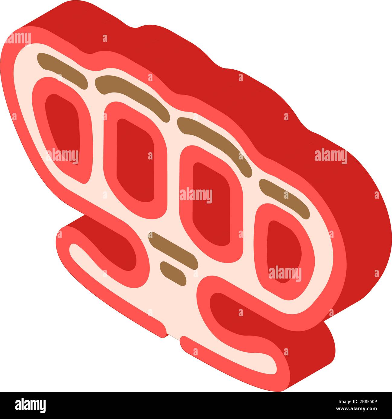 brass knuckles weapon military isometric icon vector illustration Stock ...