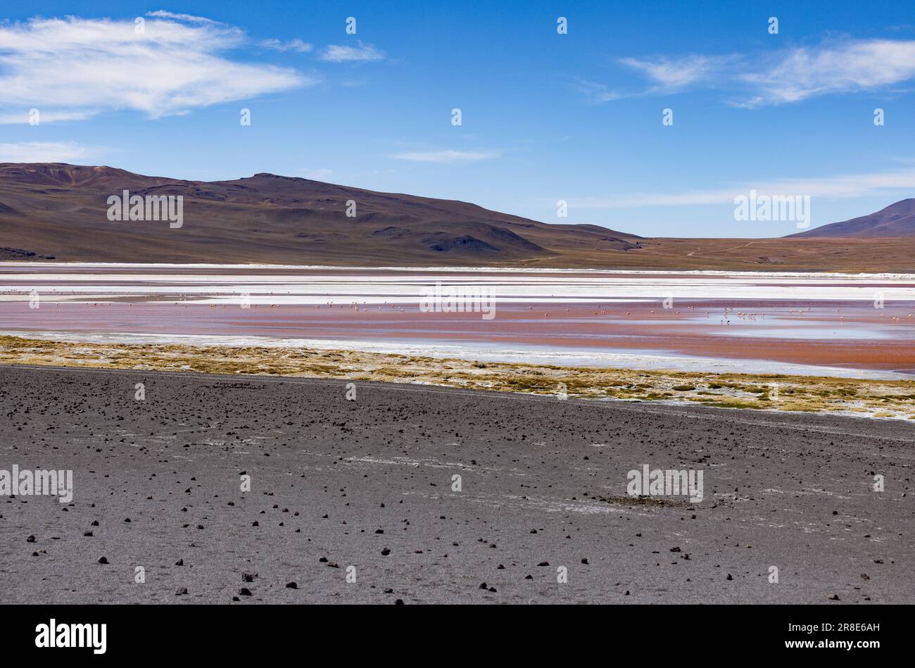 Laguna Colorada, a natural sight while traveling the scenic lagoon ...