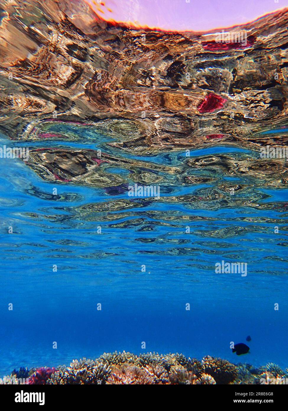 blue water texture from the Red Sea Stock Photo - Alamy