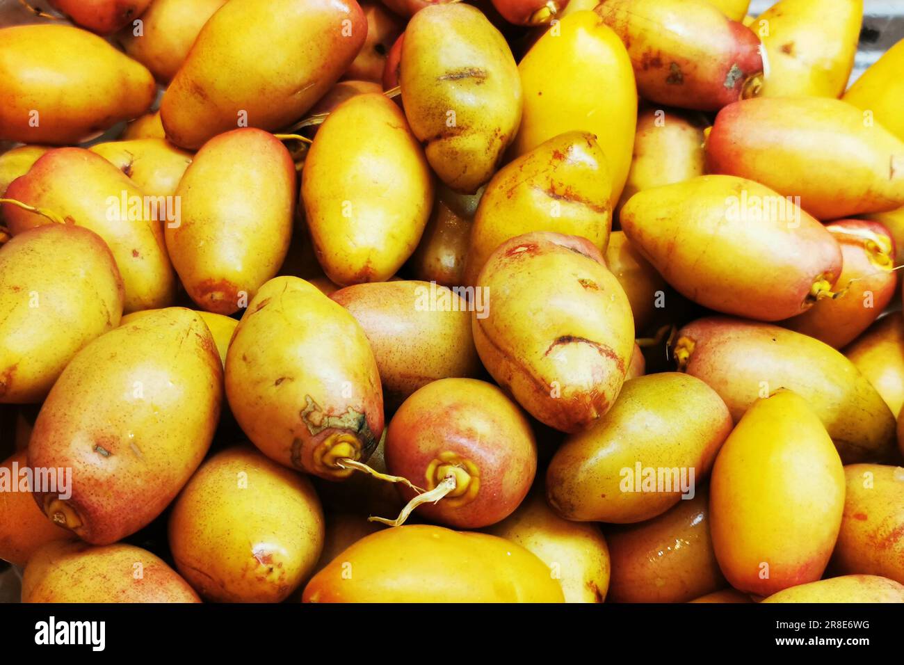 fresh date fruits texture as very nice food background Stock Photo - Alamy