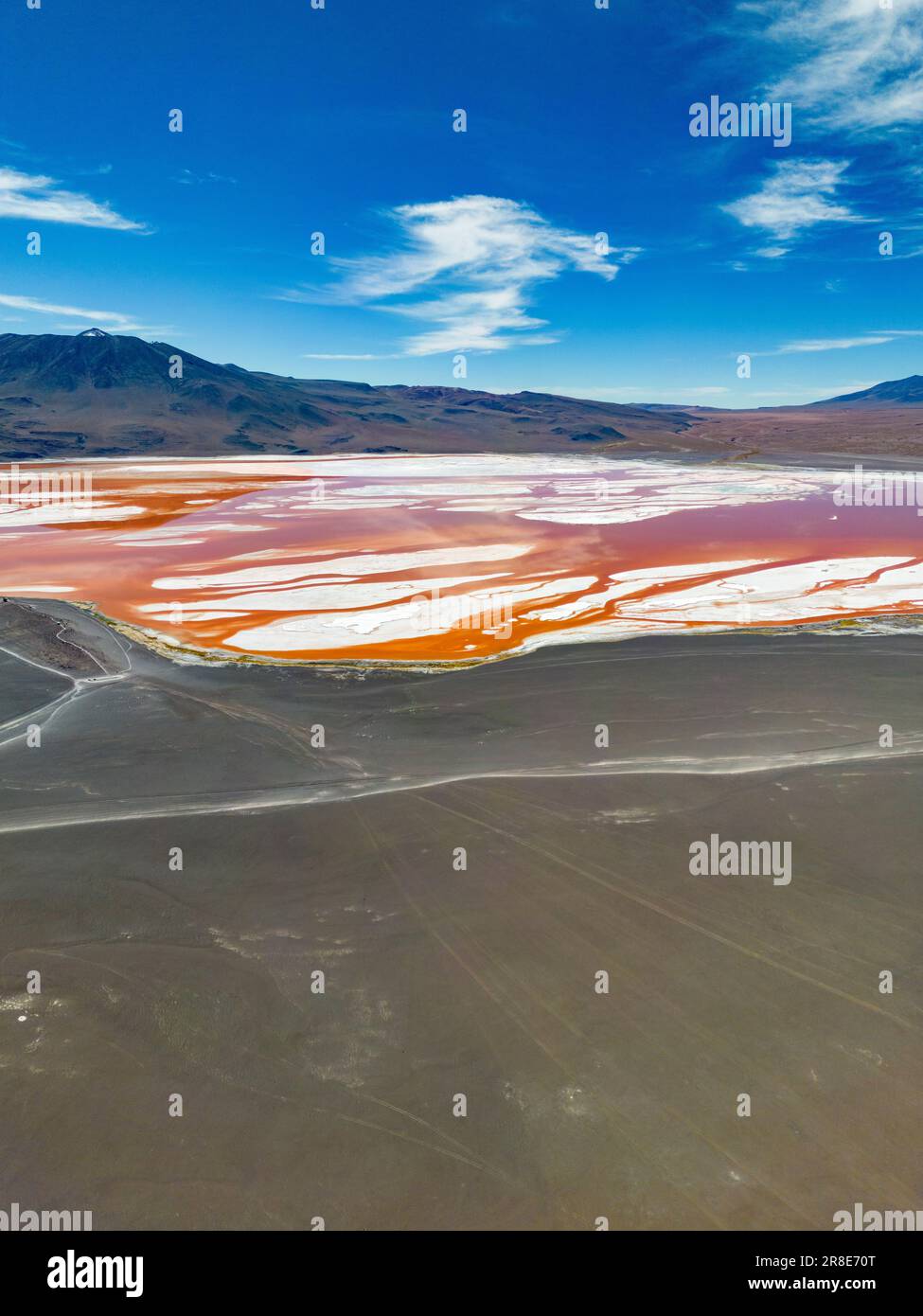 Aerial view of Laguna Colorada, famous natural sight while traveling ...