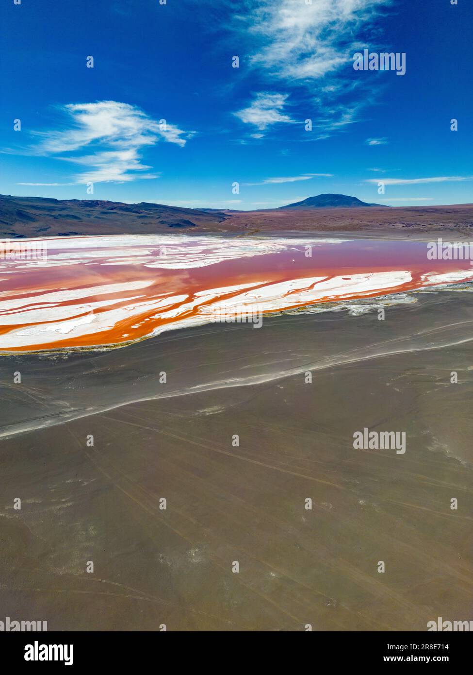 Aerial view of Laguna Colorada, famous natural sight while traveling ...
