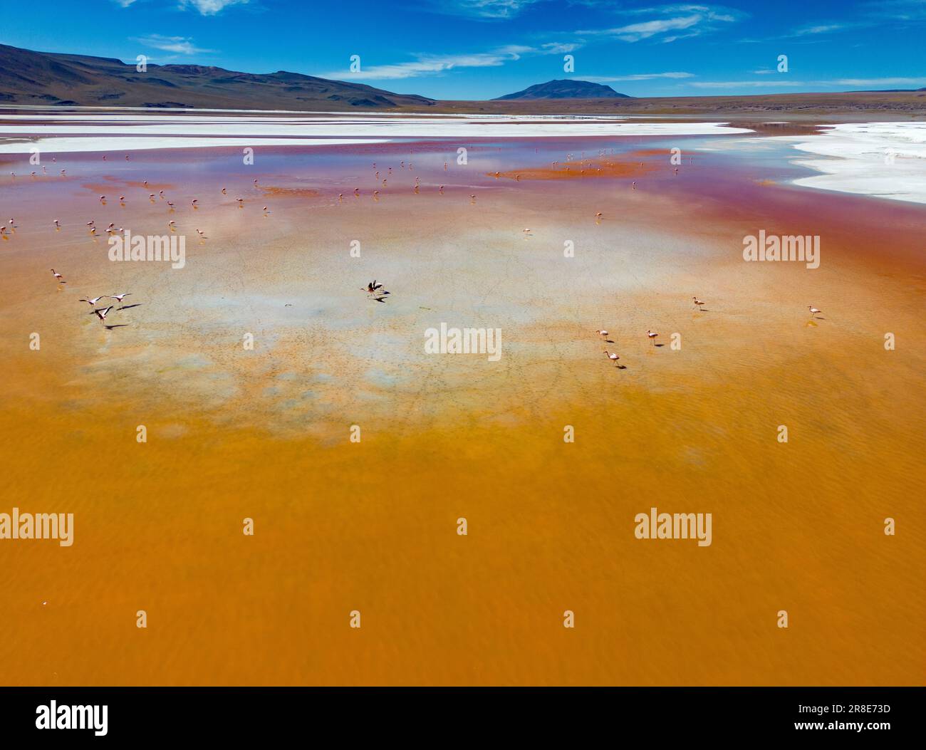 Aerial view of Laguna Colorada, famous natural sight while traveling ...