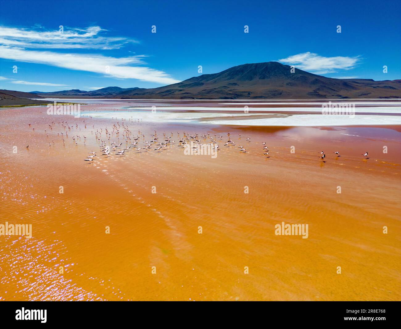 Aerial view of Laguna Colorada, famous natural sight while traveling ...