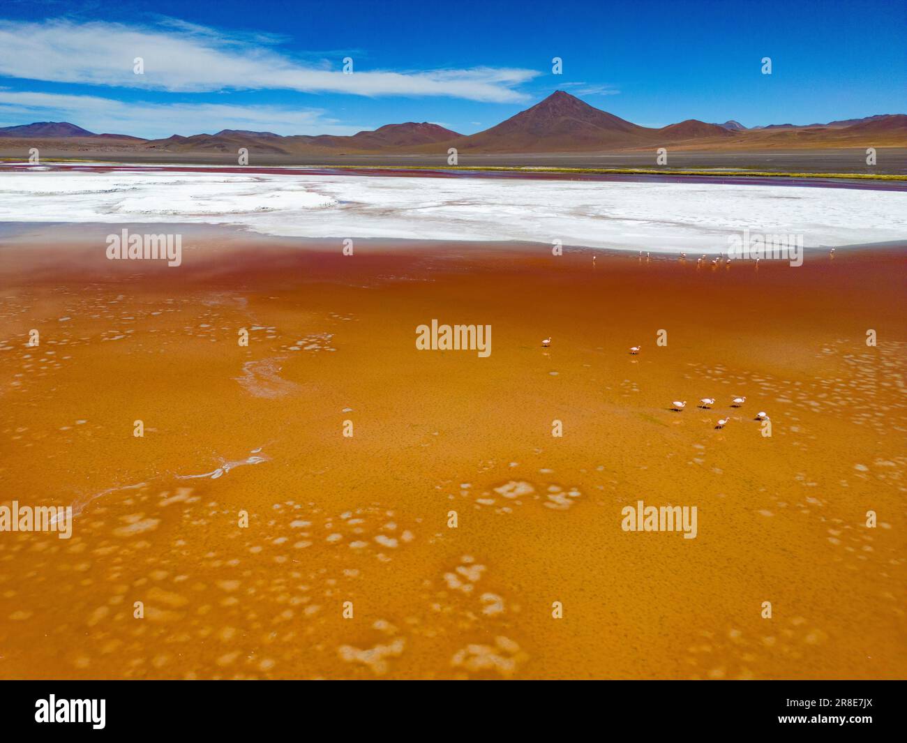 Aerial view of Laguna Colorada, famous natural sight while traveling ...