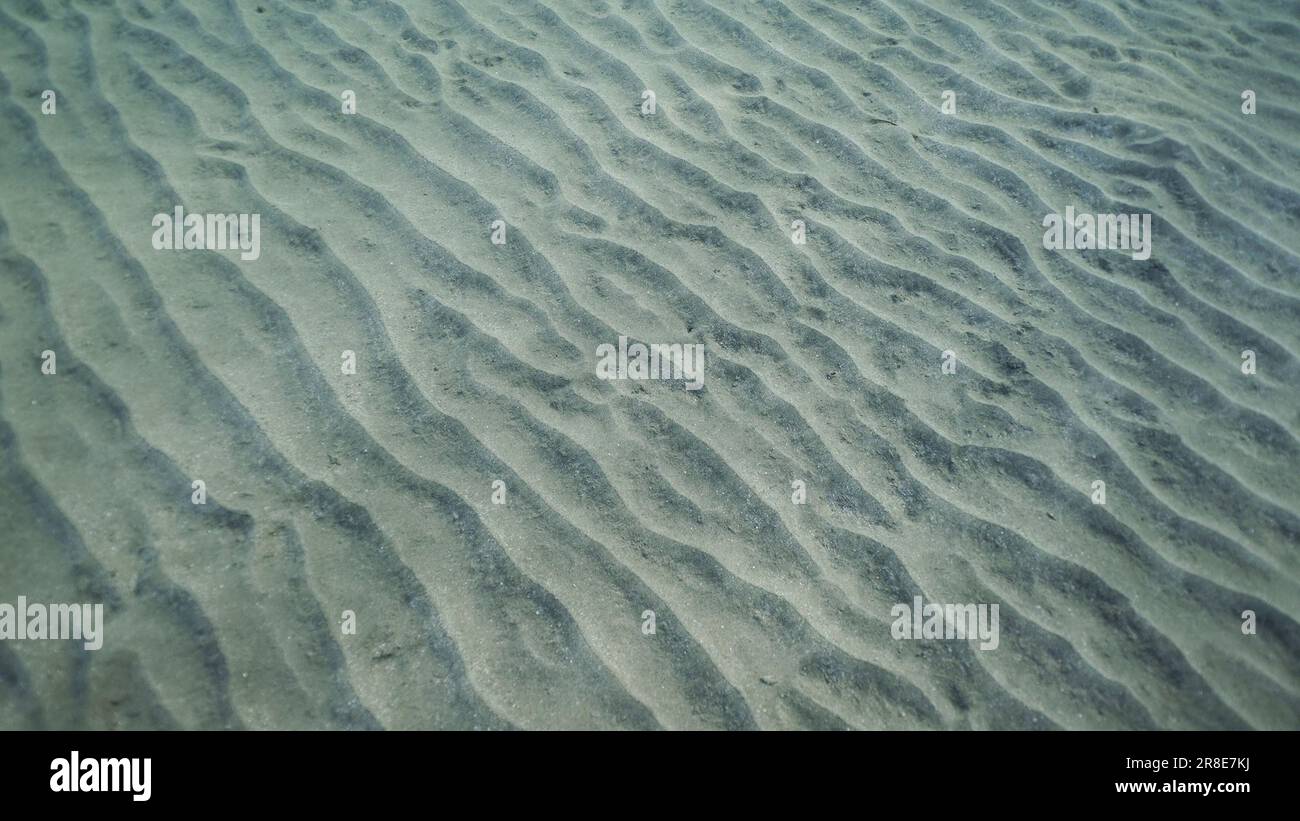 Sandy bottom covered with sand hills, Natural background from the ...