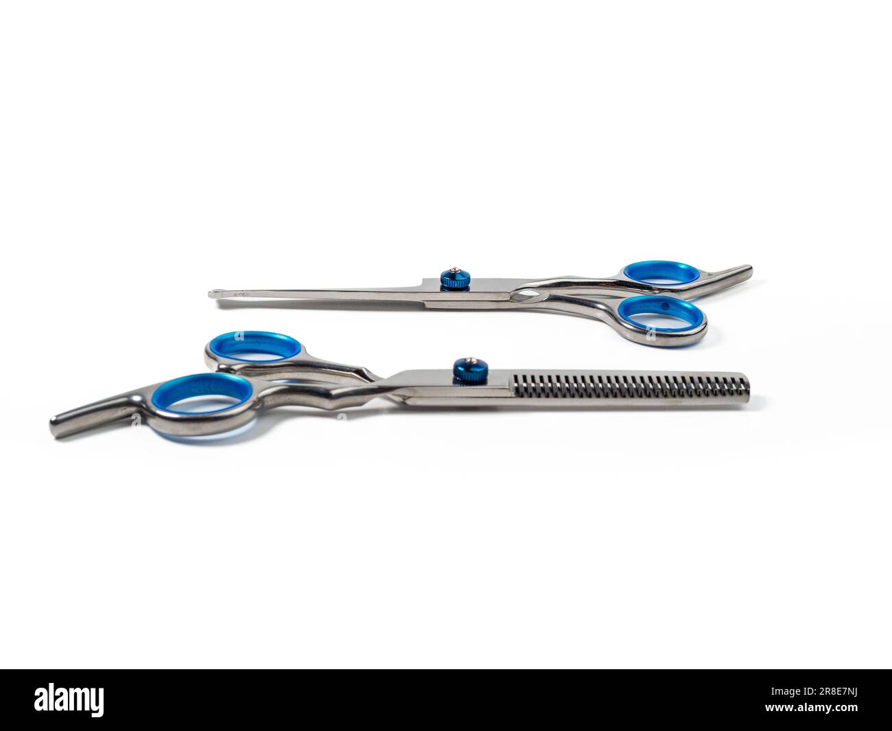 Scissors for cutting dogs. Dog grooming kit. Close-up of a dog grooming ...