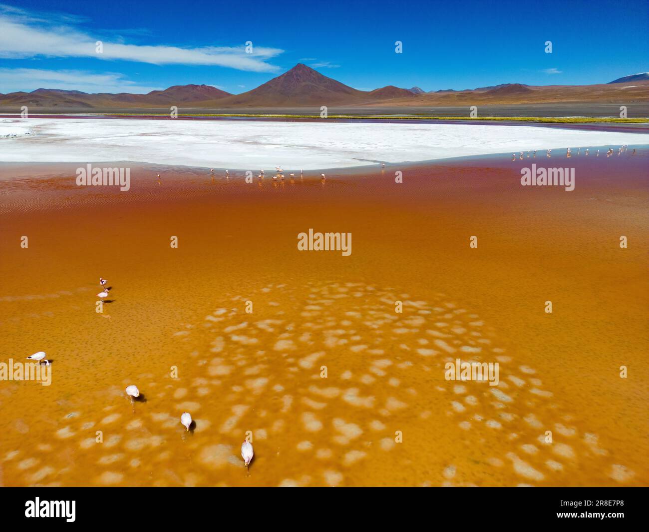 Aerial view of flamingos in the colorful Laguna Colorada in the remote ...