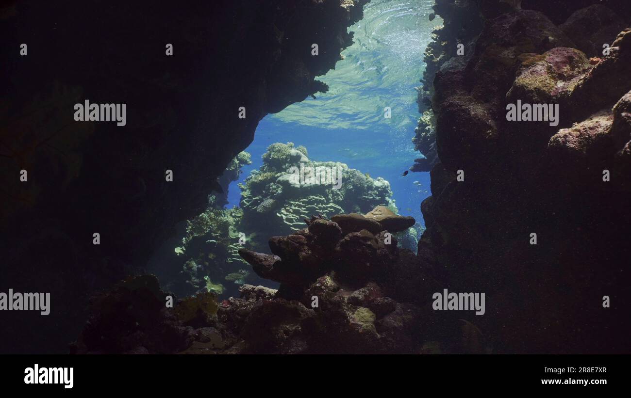 Sunshine penetrate the underwater coral cave and illuminate it ...