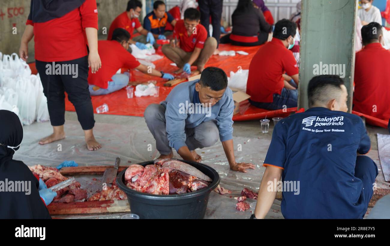 the process of cutting the sacrificial meat for each part Stock Photo ...