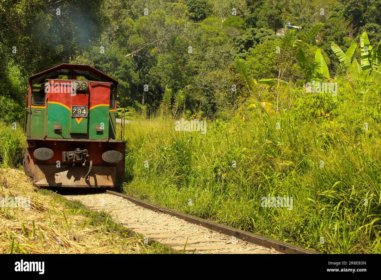 Train from Ella to Kandy among the jungle and mountains. Sri Lanka ...