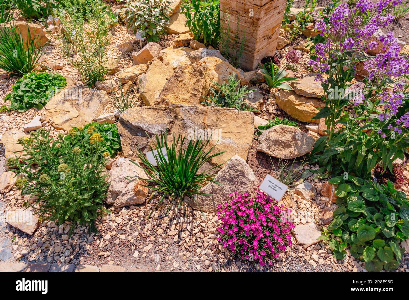 Beautiful landscaped natural garden with plants, succulents, rocks and ...