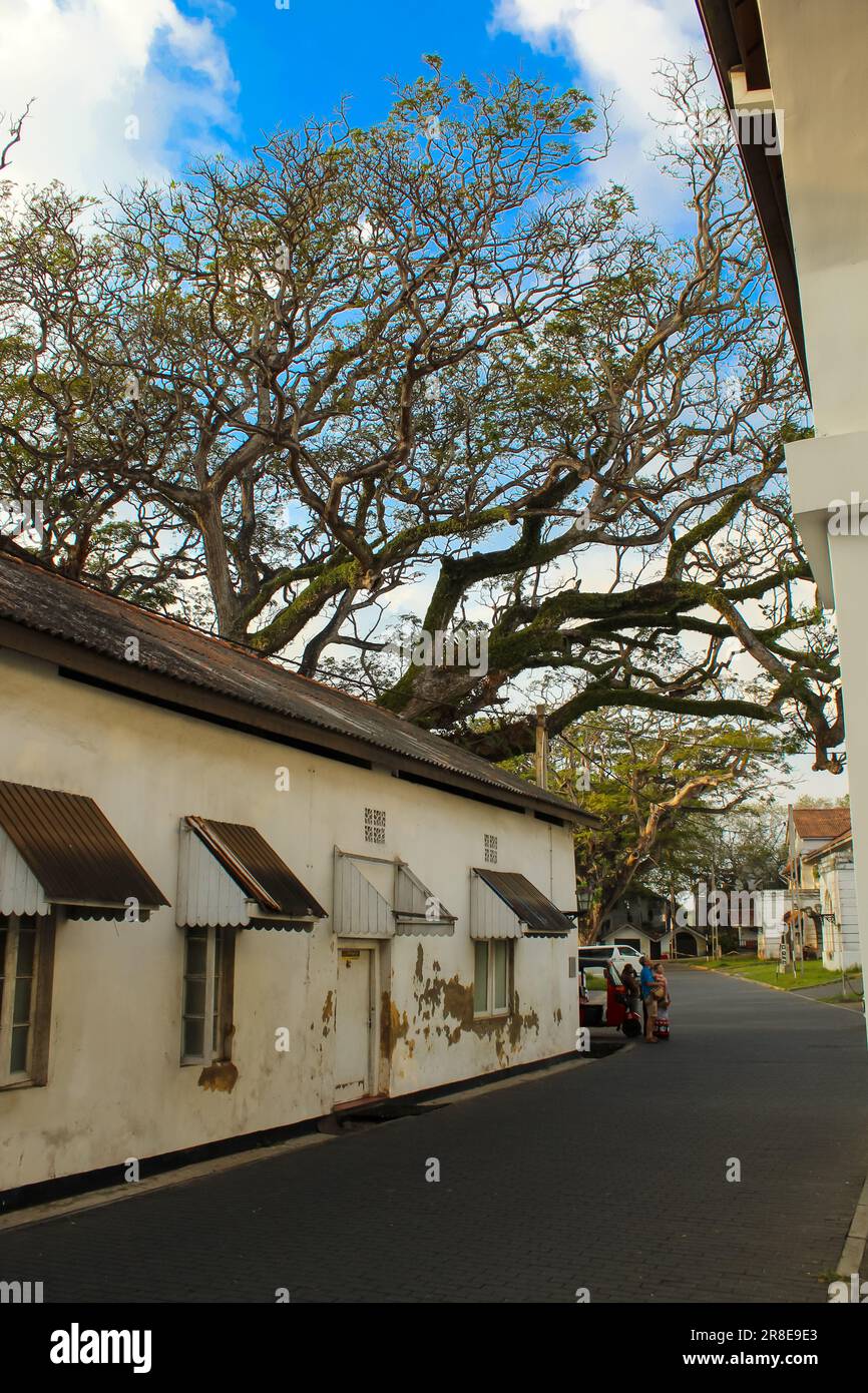 Hospital street at sunny day. Ancient Dutch Galle Fort (UNESCO World ...