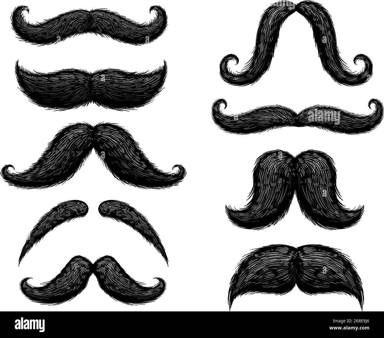 Mustache Illustration Vector