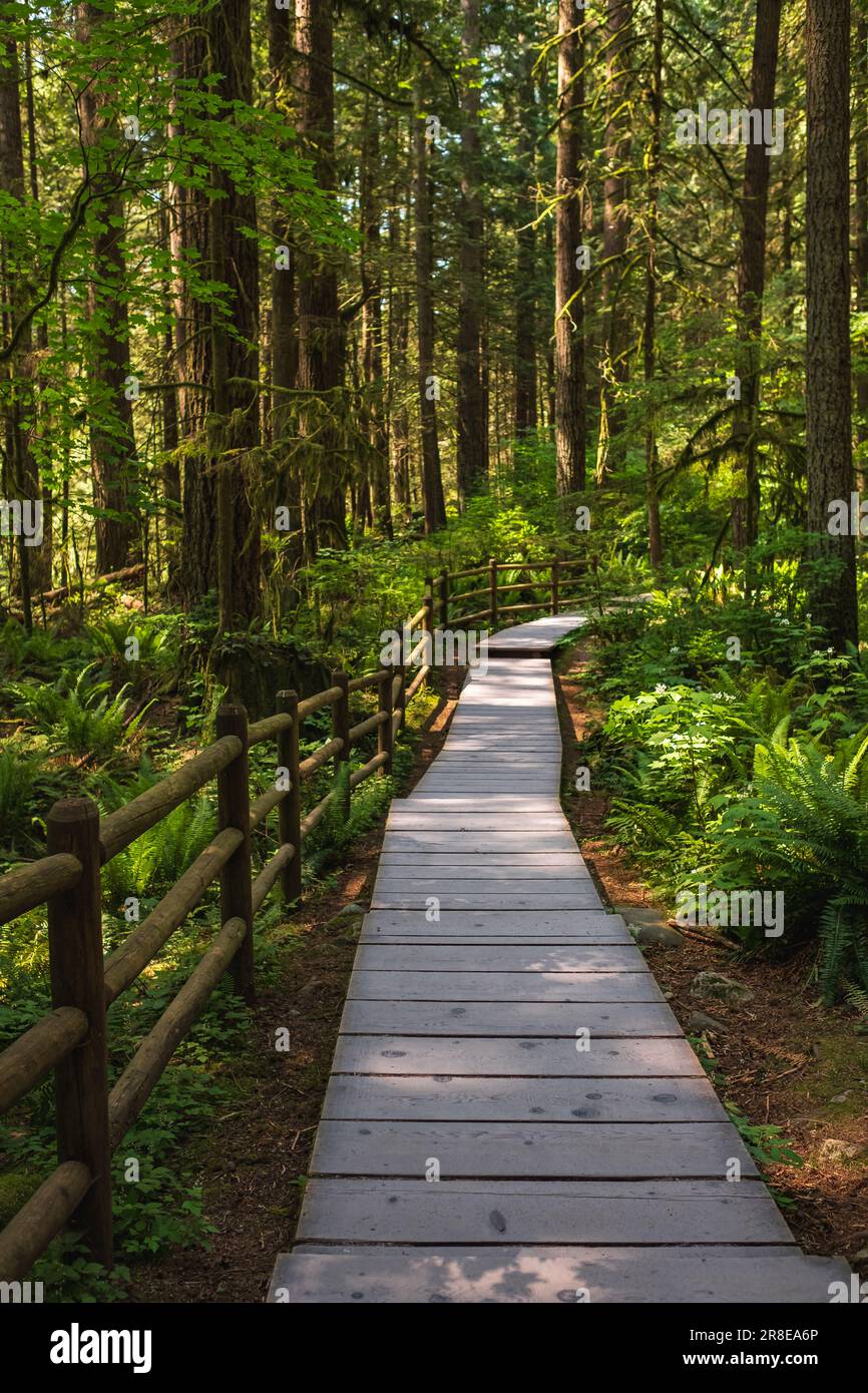 Ecological eco tourism hi-res stock photography and images - Alamy