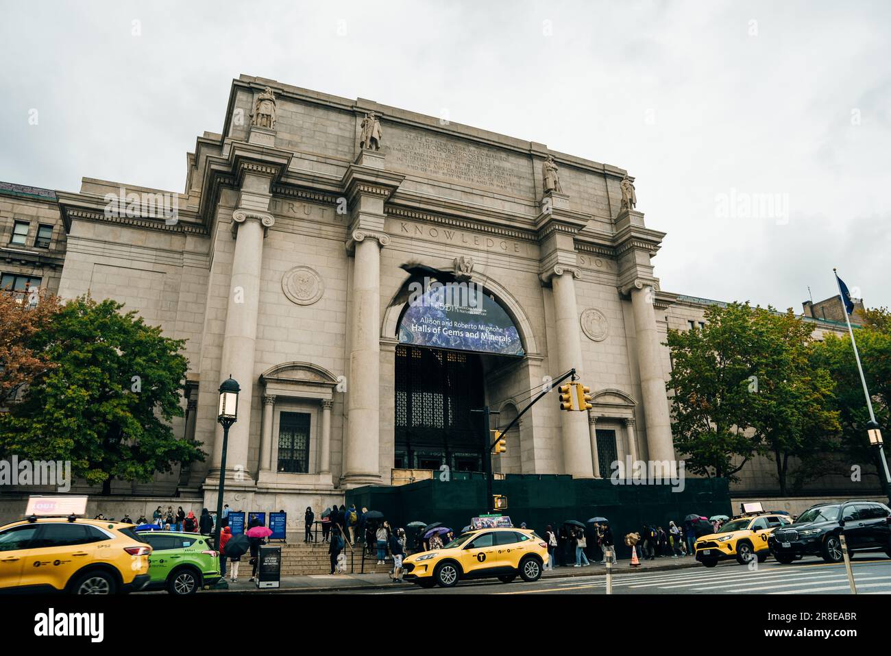 American Museum Of Natural History Logo