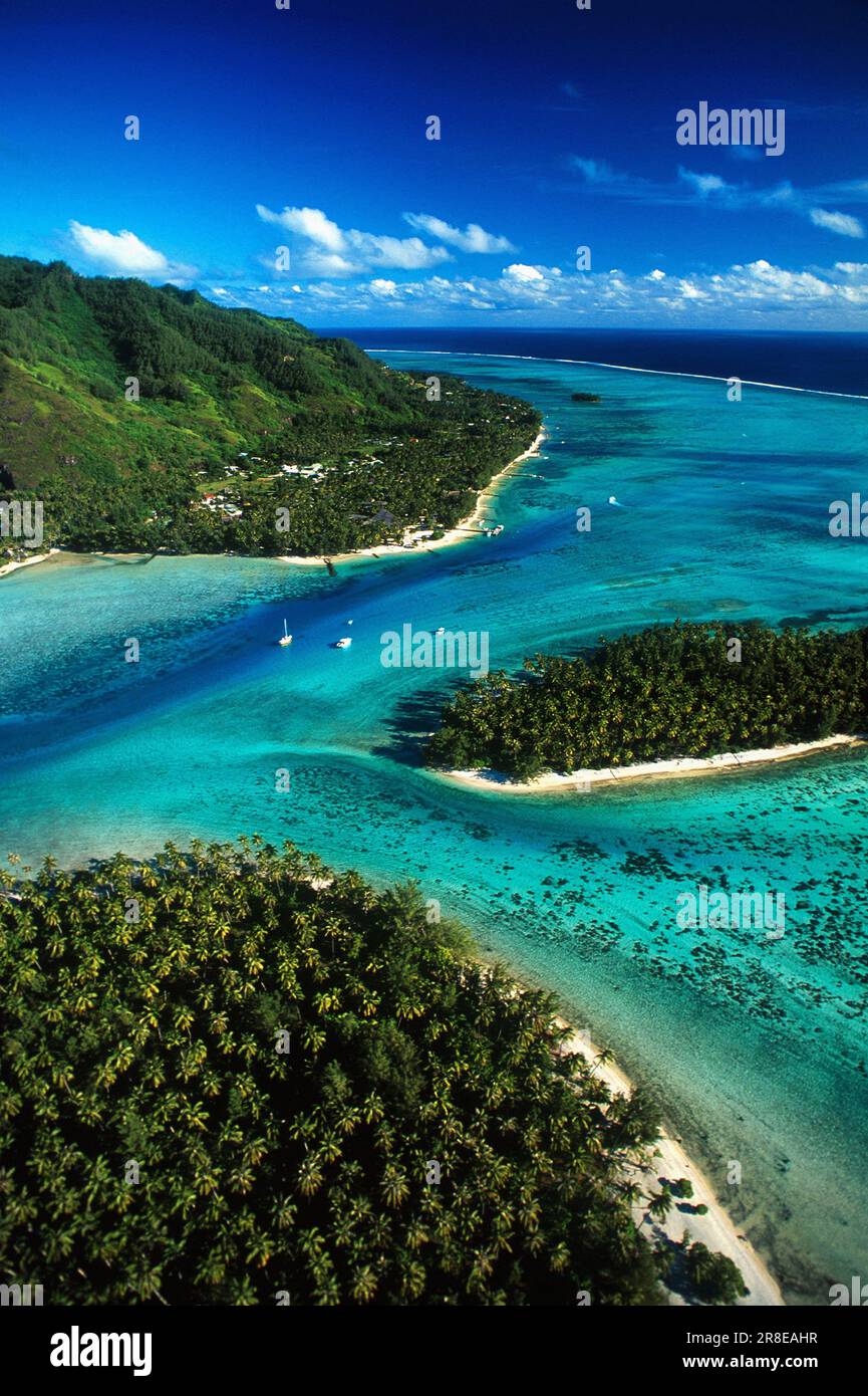 POLYNESIE FRANCAISE, ILES DE LA SOCIETE, MOOREA, POLYNESIE, OCEAN ...
