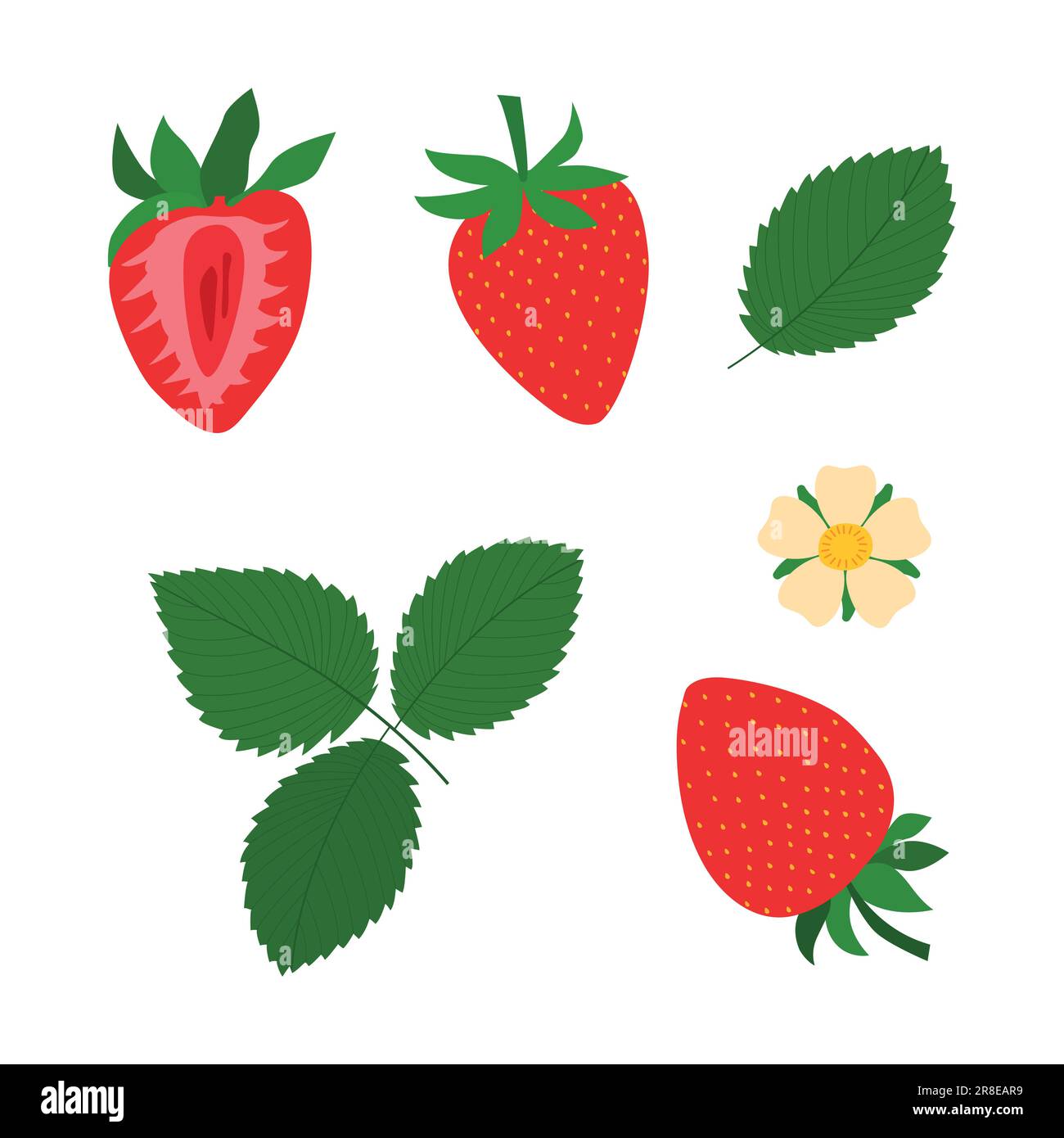 Strawberry Leaves Vector