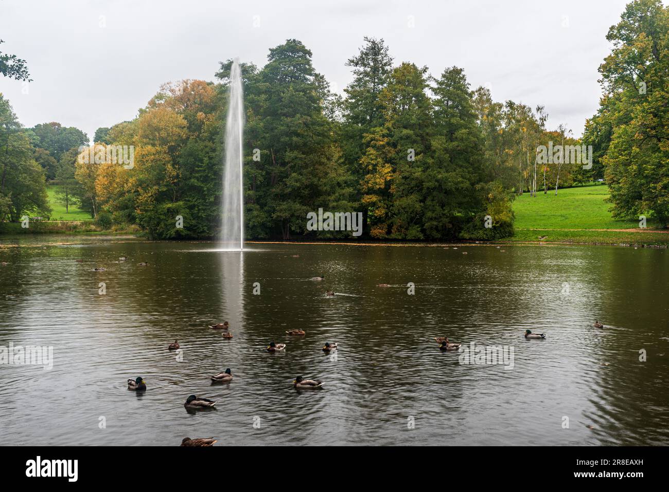 Stadtpark Plauen public park with pond with fountain, colorful trees ...