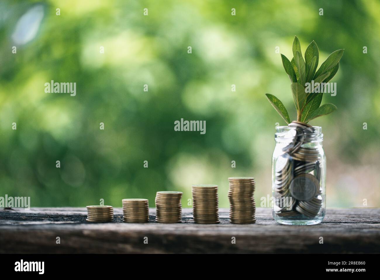 Money and environment business concept growth. The green growth on the ...