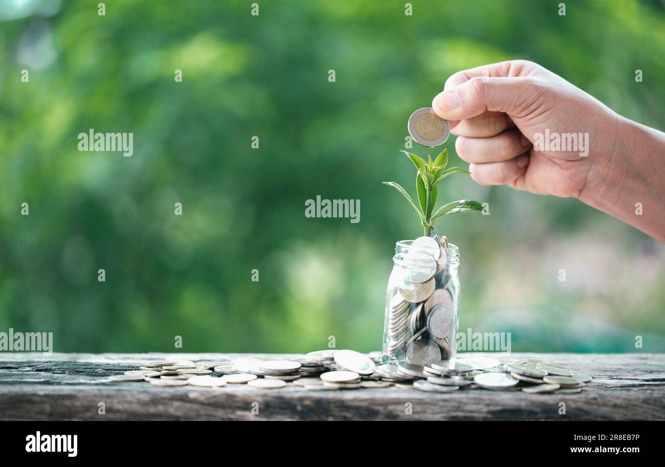 The green plant grow on coin stack is a business growth concept. The ...