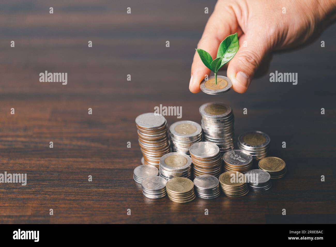 The green plant grow on coin stack is a business growth concept. The ...