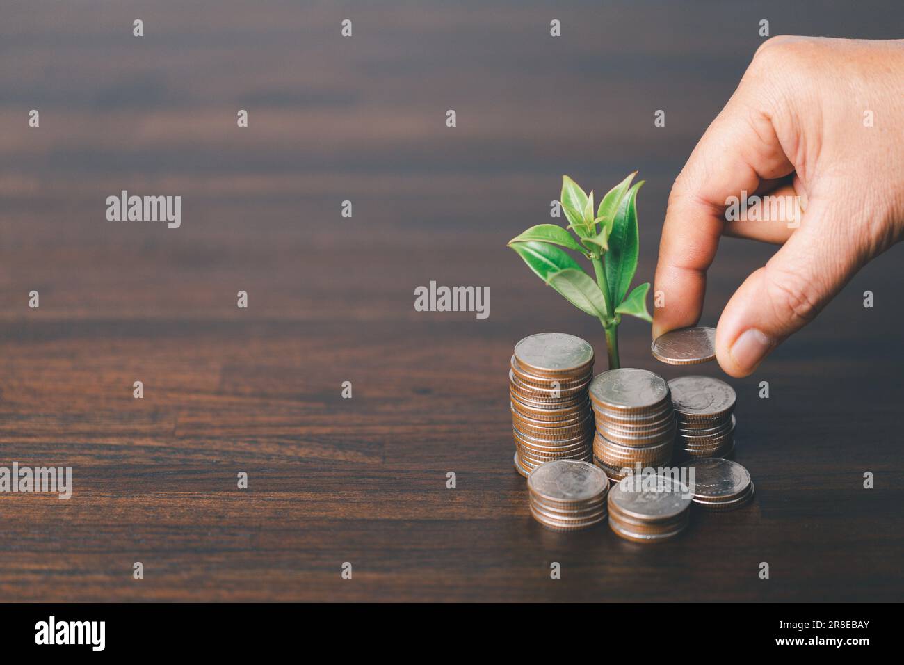 The green plant grow on coin stack is a business growth concept. The ...