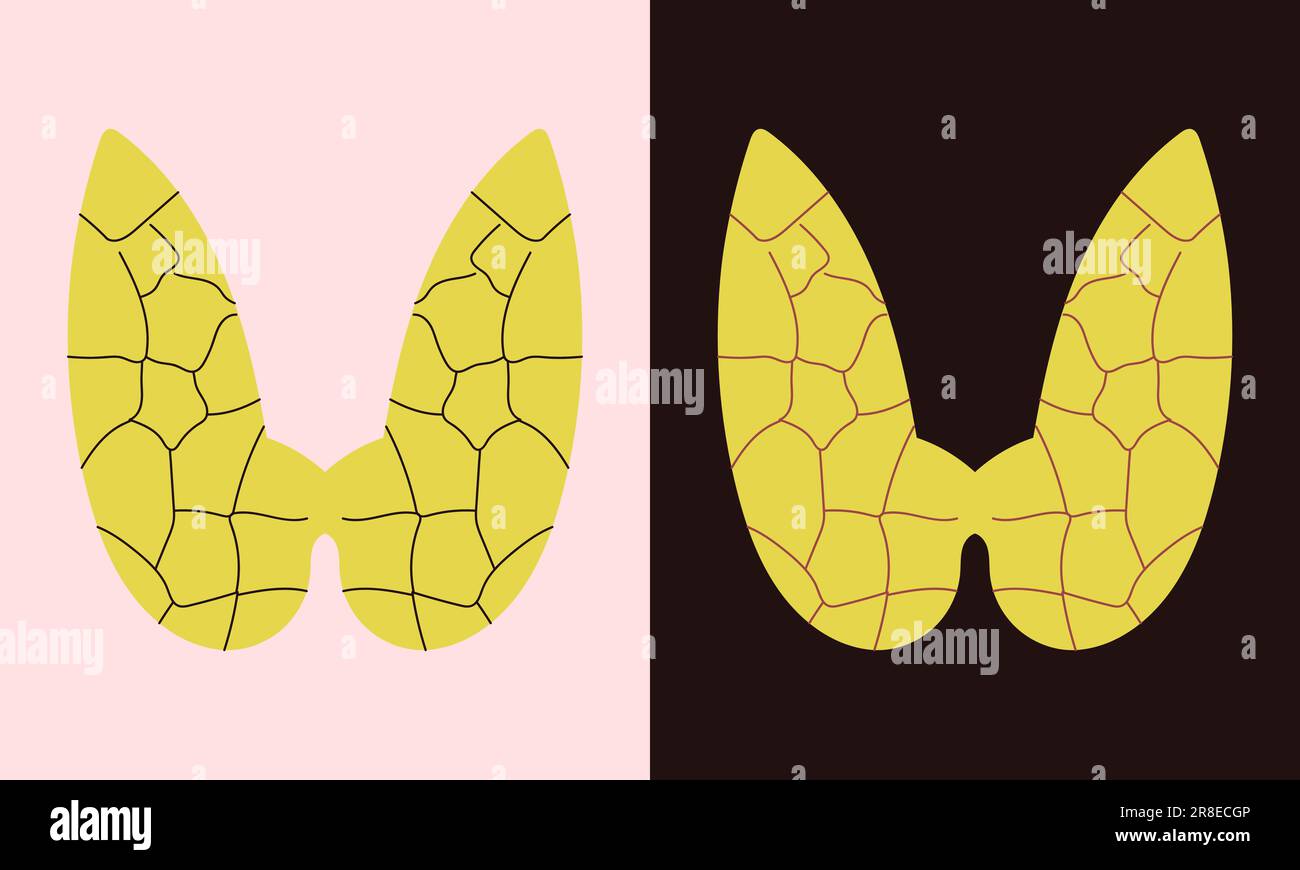 Thyroid. Human organ isolated on white and black background. Element ...