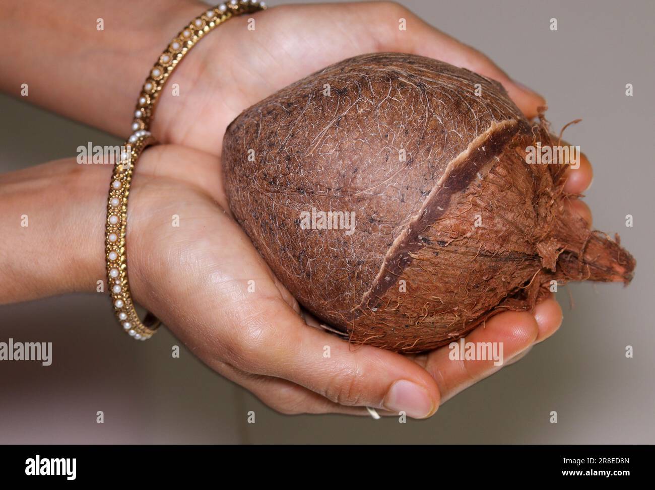 Coconut in female hand. Female holding coconut in her two hand Stock ...