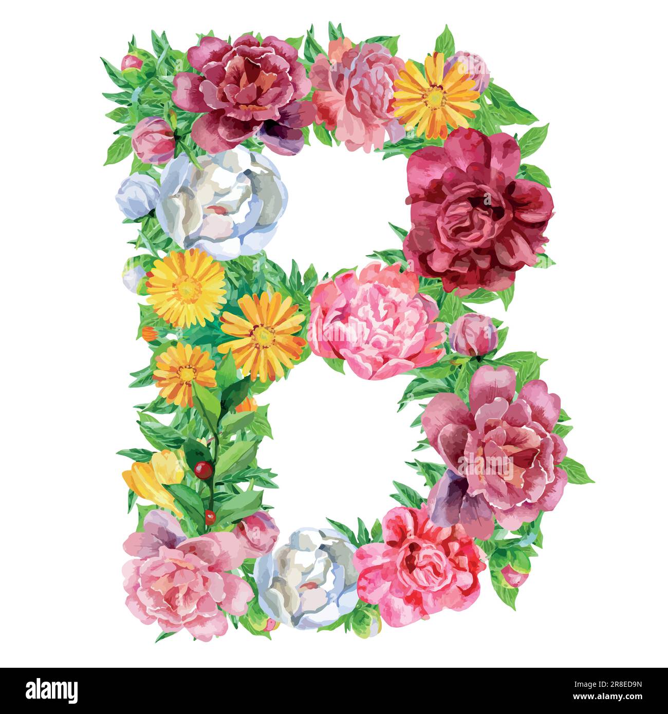 Letter B of watercolor flowers, isolated hand drawn on a white ...