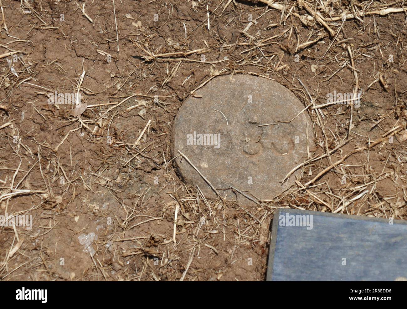 Los Angeles, California, USA 20th June 2023 Entertainer/Comedian Frank ...