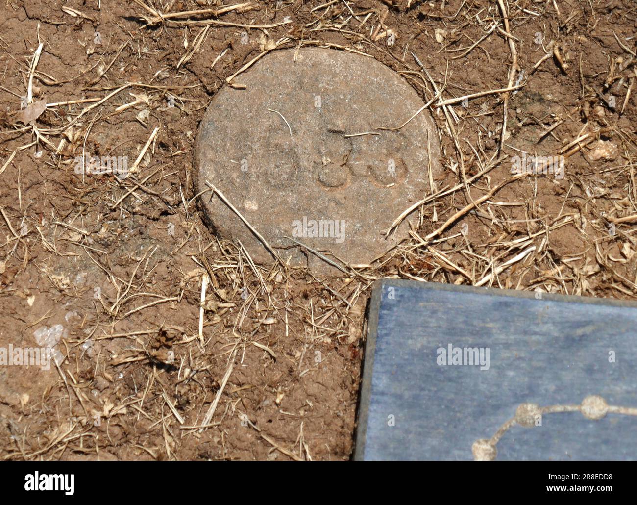 Los Angeles, California, USA 20th June 2023 Entertainer/Comedian Frank ...