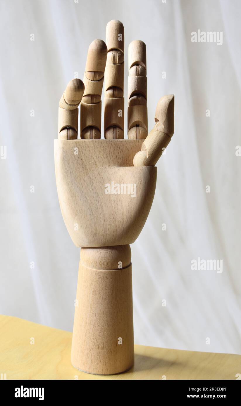 A vertical of a wooden mannequin hand on a white background Stock Photo ...