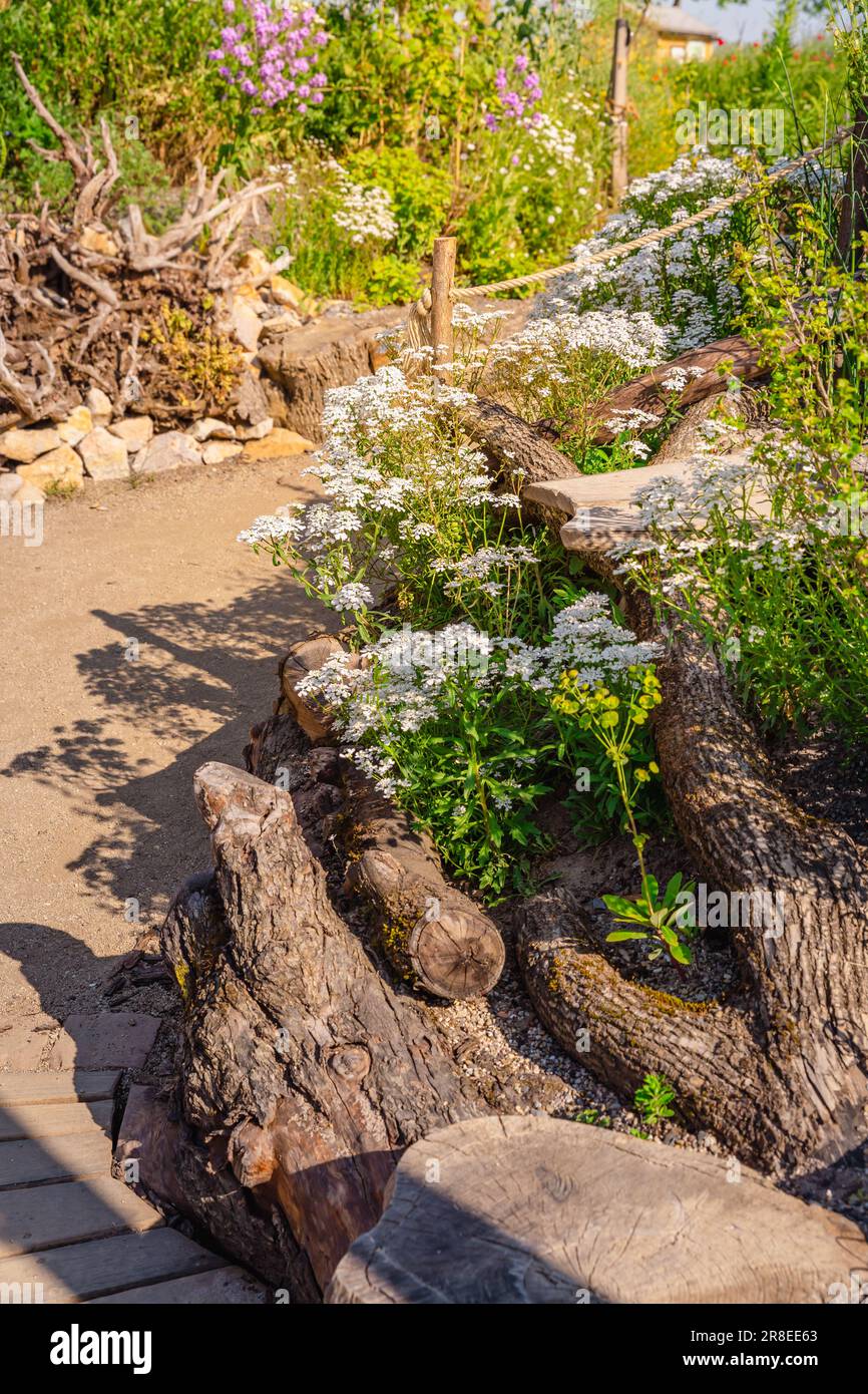 Natural garden with native plants, brushwood wall and gravel path Stock ...