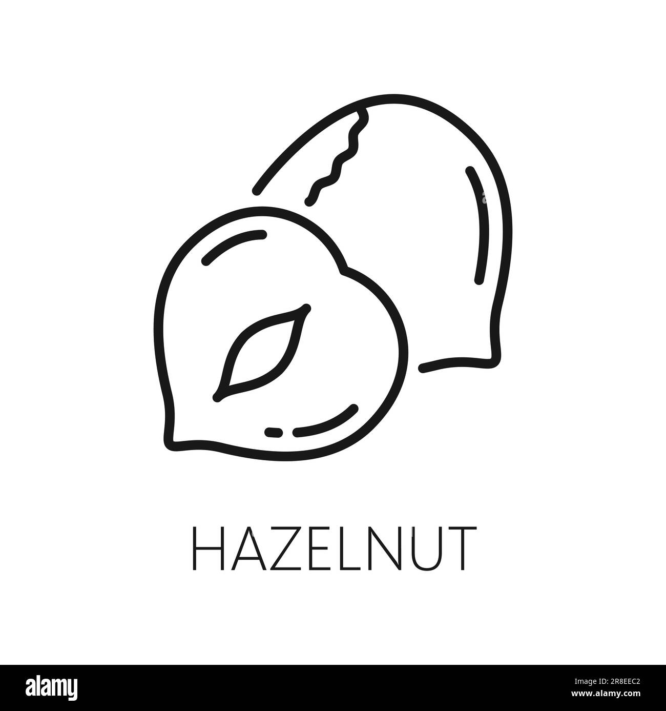 Hard shelled fruit Stock Vector Images - Alamy