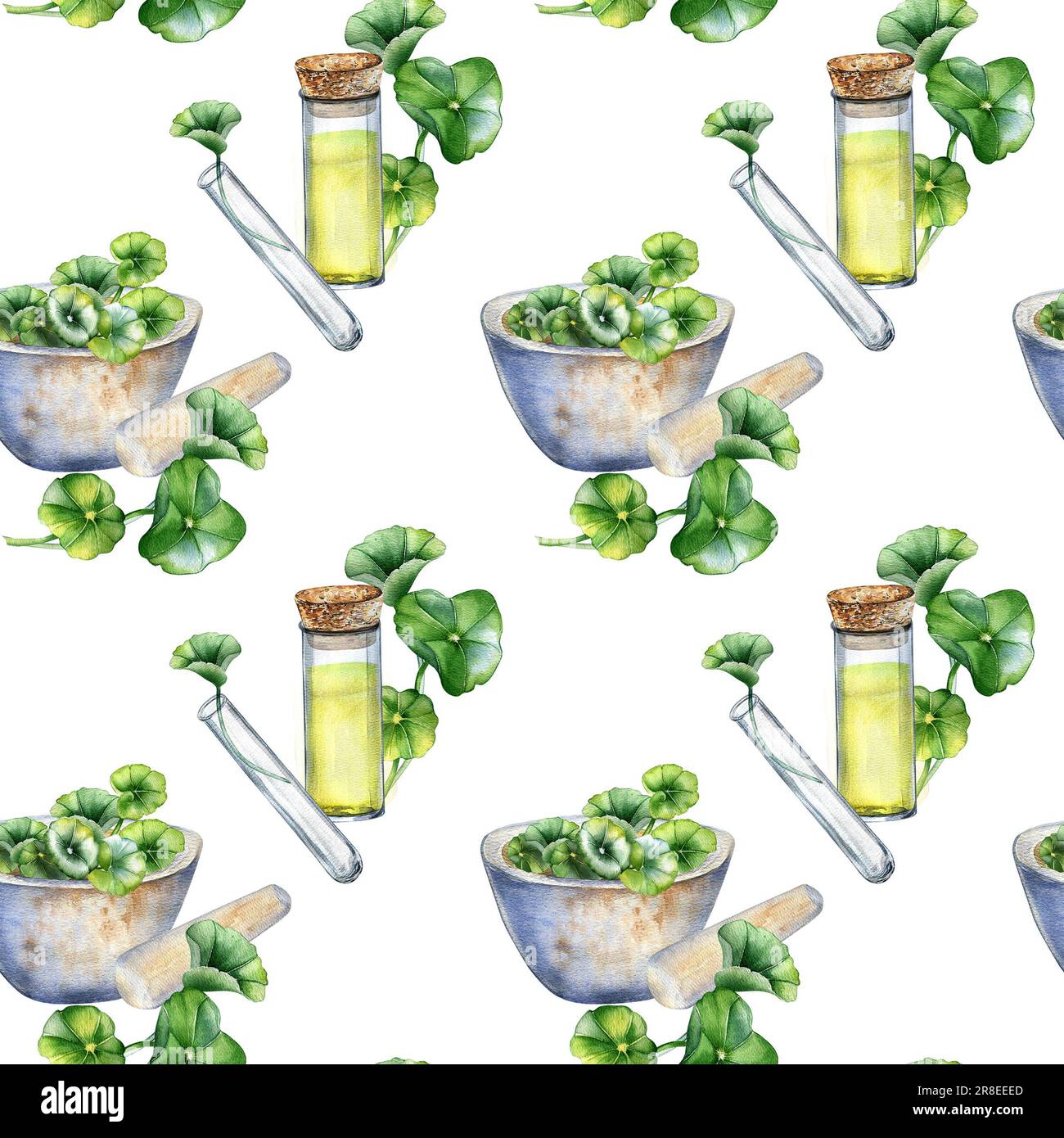 Centella asiatica, essential oils, stone bowl watercolor seamless ...