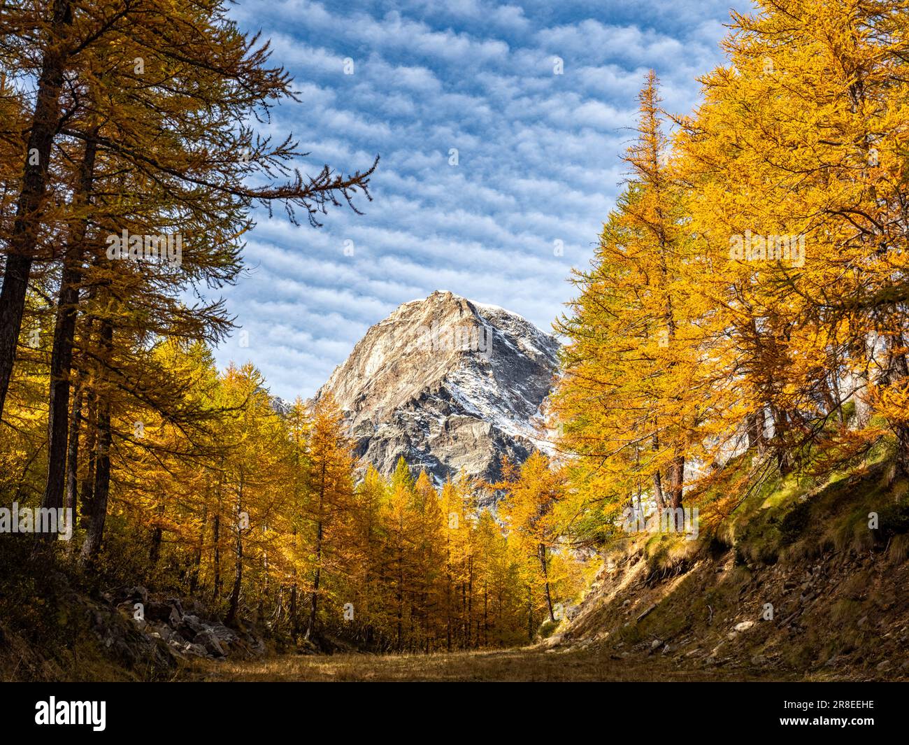 Autumnal landscape in the Italian alps of Macugnaga Stock Photo - Alamy