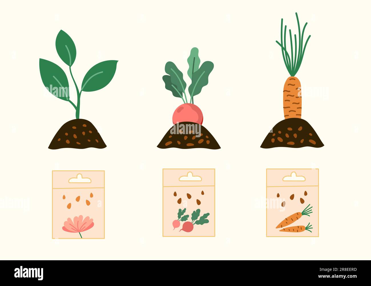 Home vegetables gardening crops hobby illustrations set. Vector plants ...
