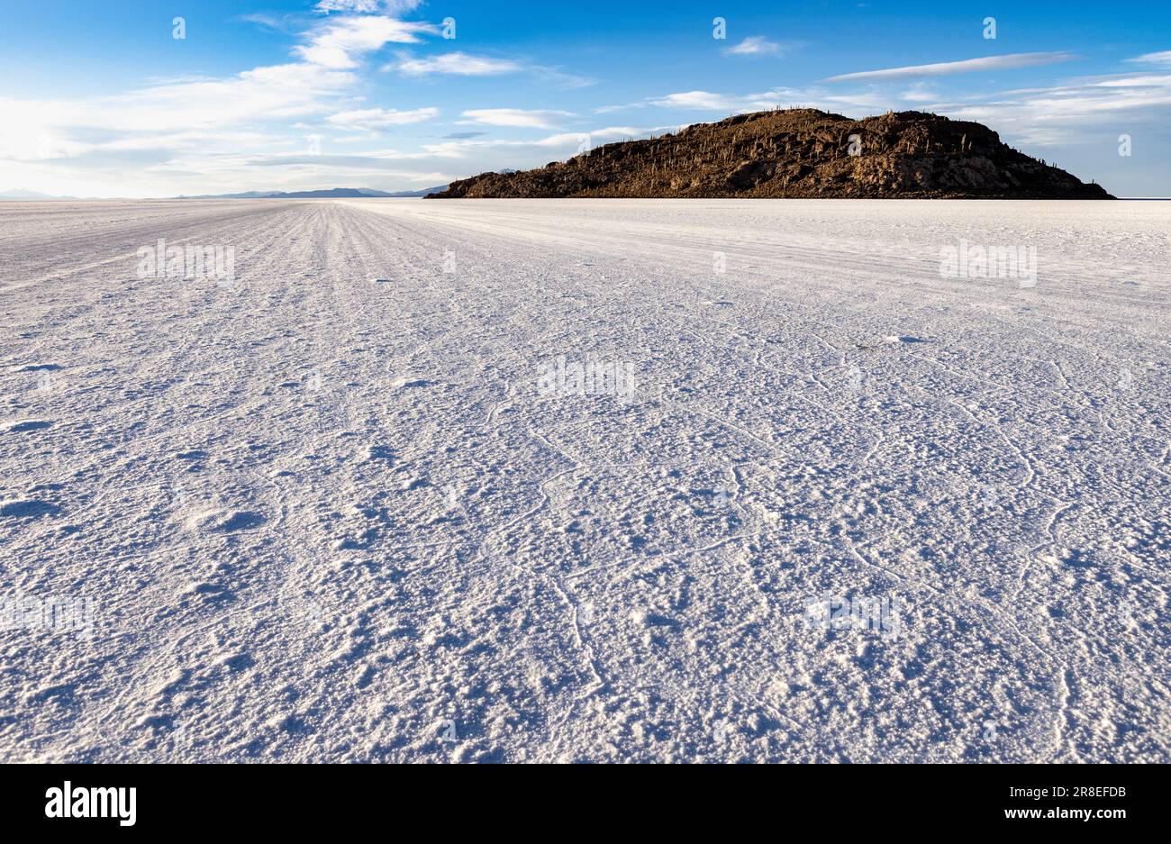 Driving on the biggest salt lake in the world, the Salar de Uyuni, with ...