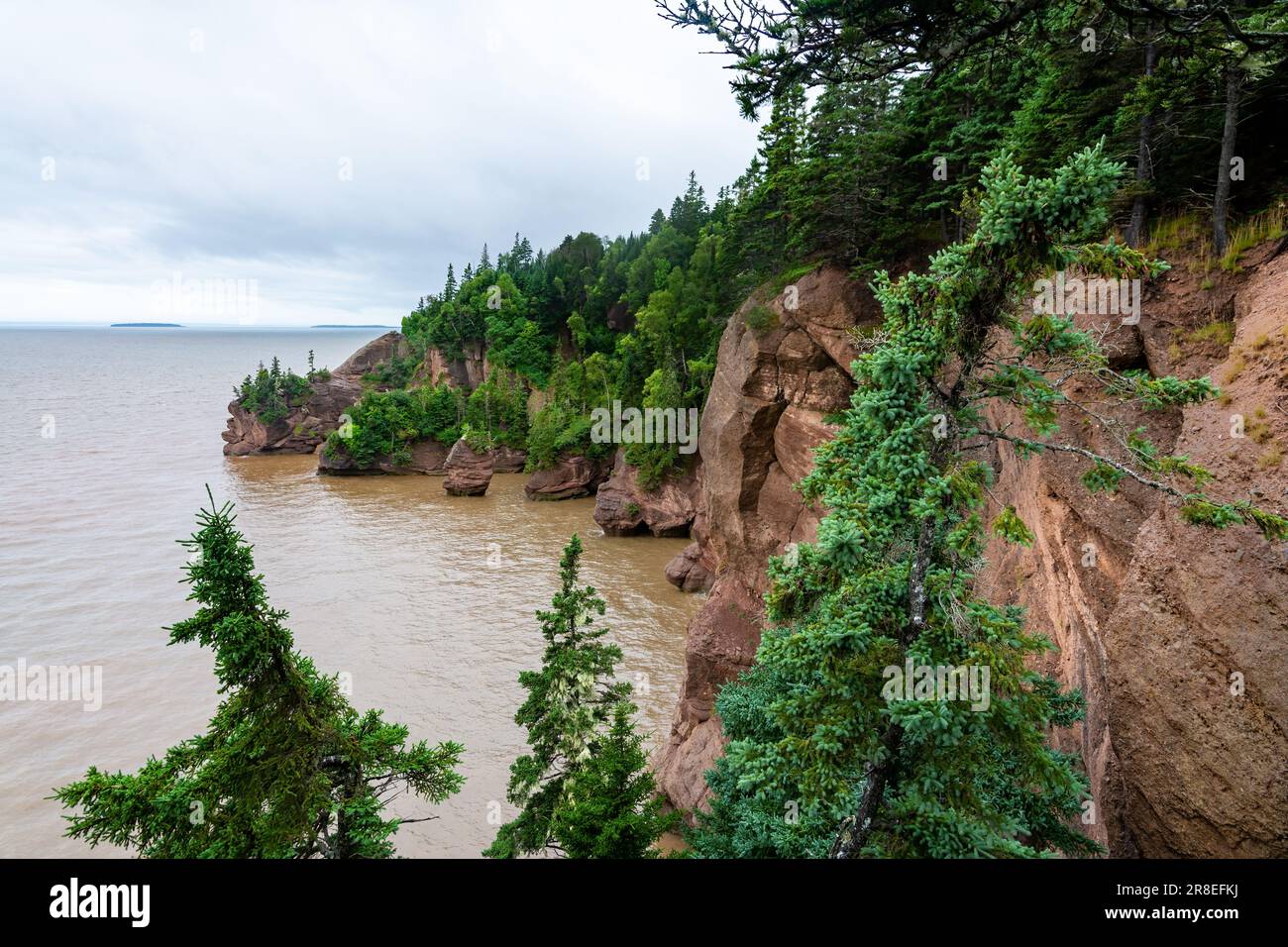 The Hopewell, or Flowerpot Rocks in the Bay of Fundy, New Brunswick ...