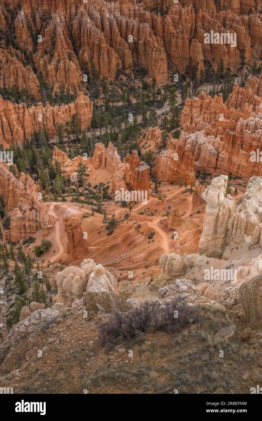 view from the rim of Bryce Canyon down onto one of the hiking trails in ...
